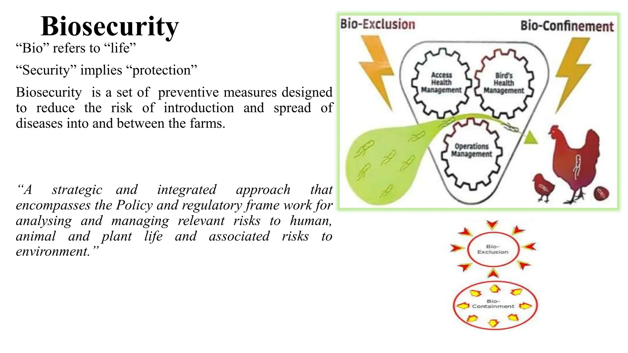 Biosecurity measures for Poultry farms.pptx