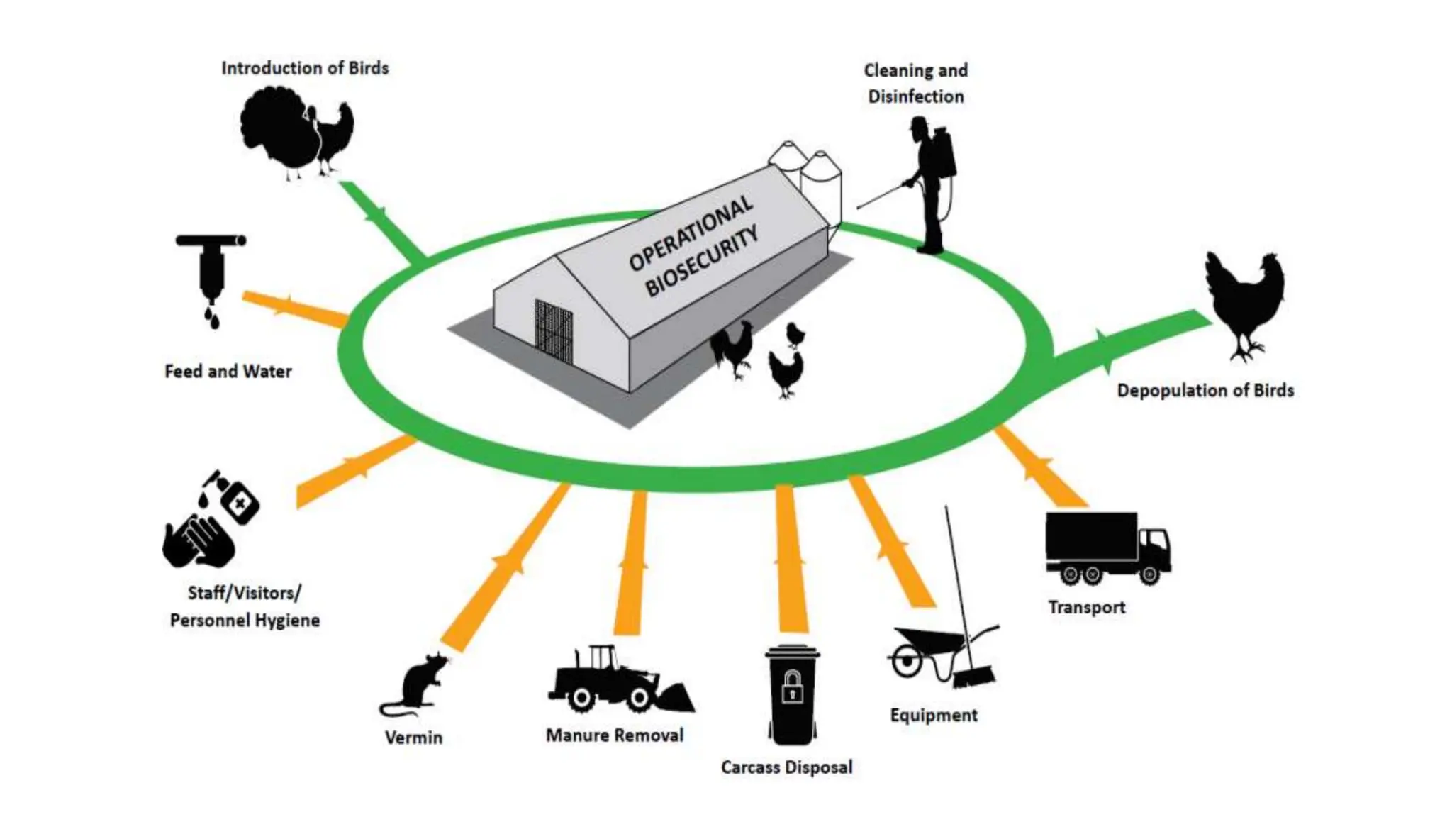 Biosecurity measures for Poultry farms.pptx