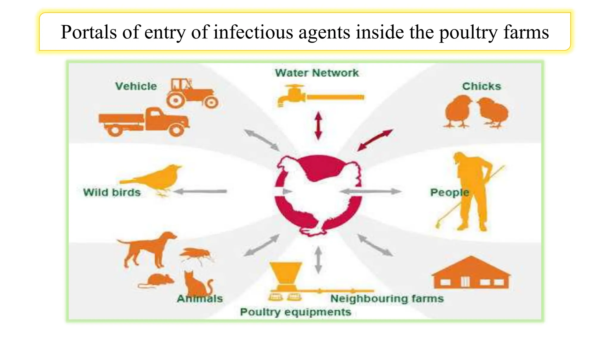 Biosecurity measures for Poultry farms.pptx