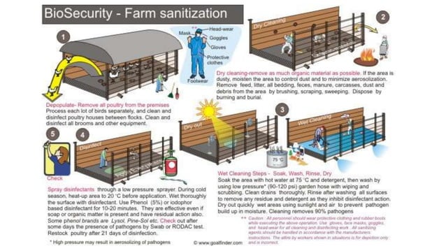 Biosecurity measures for Poultry farms.pptx