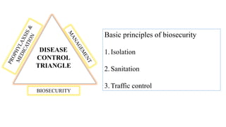 Biosecurity measures for Poultry farms.pptx