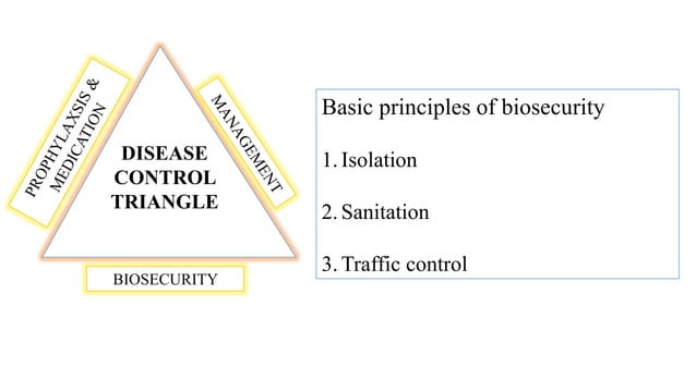 Biosecurity measures for Poultry farms.pptx