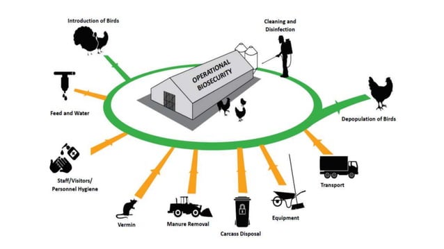 Biosecurity measures for Poultry farms.pptx