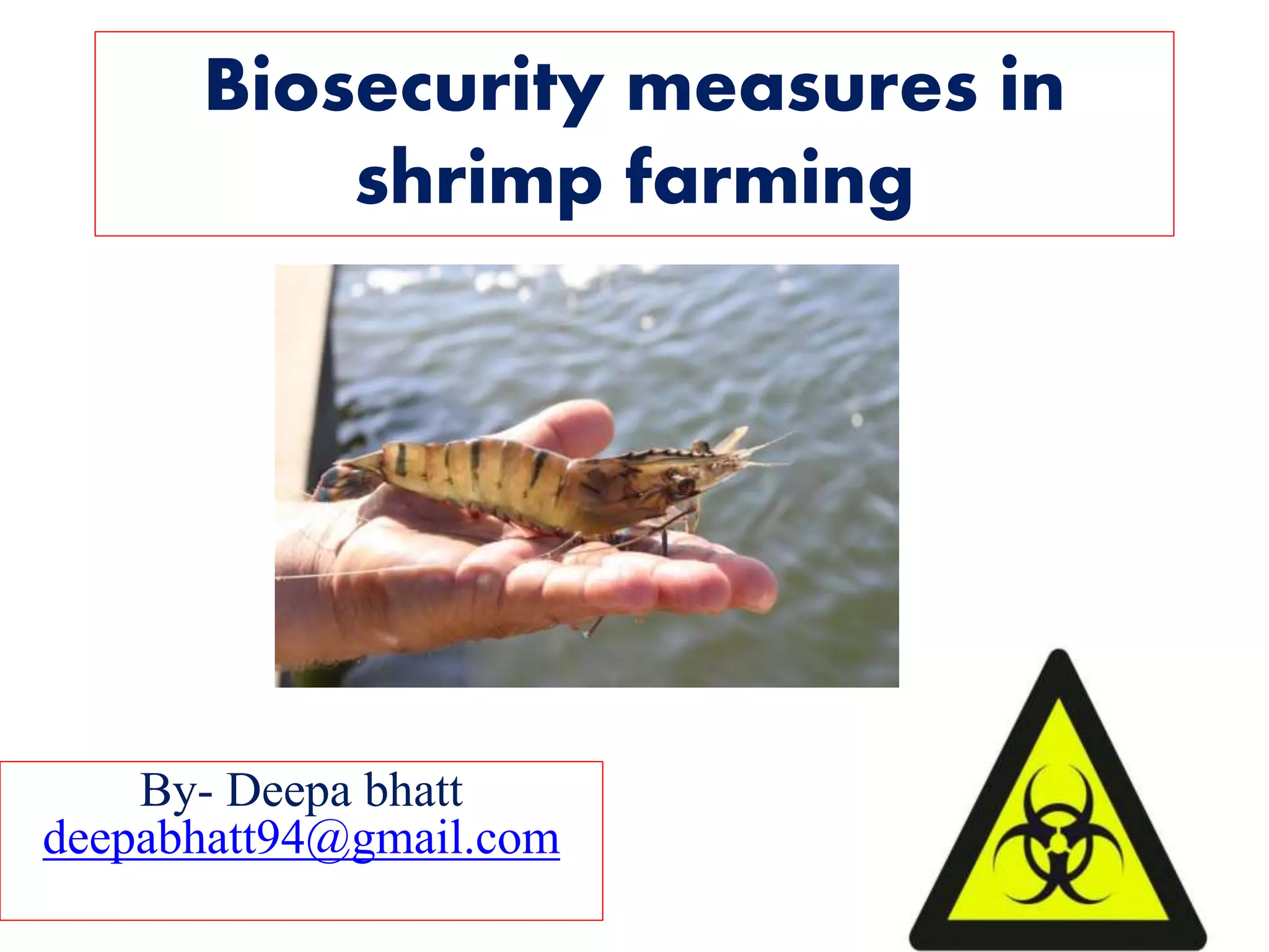 Biosecurity measures in shrimp farming | PPTX