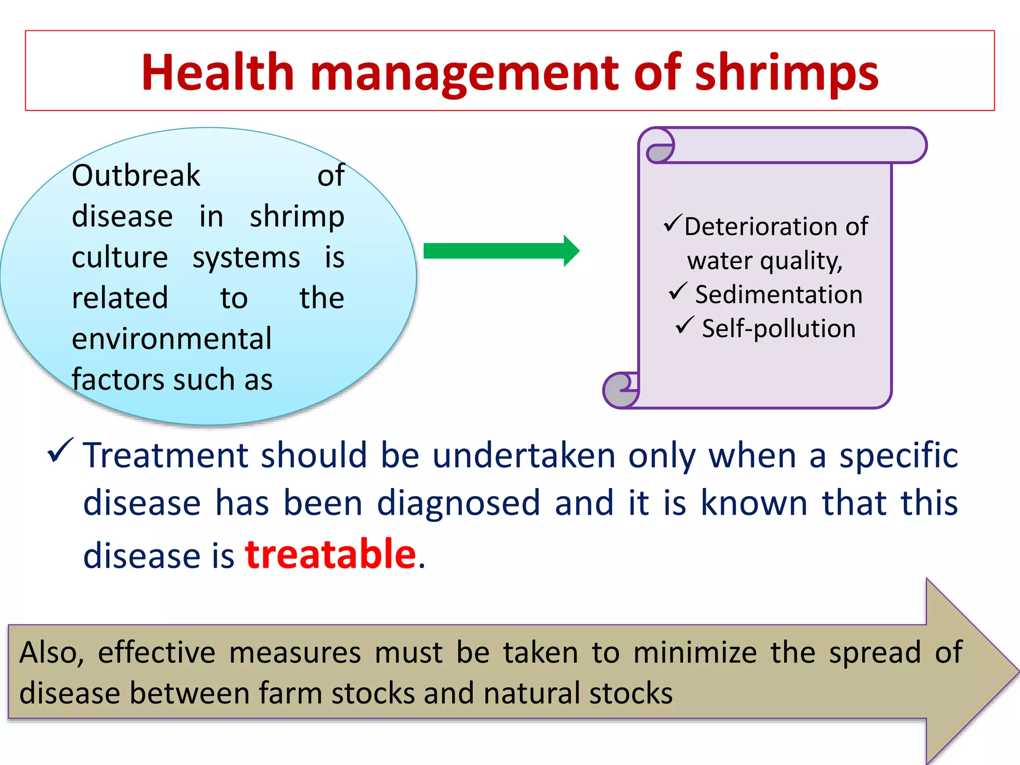 Biosecurity measures in shrimp farming | PPTX