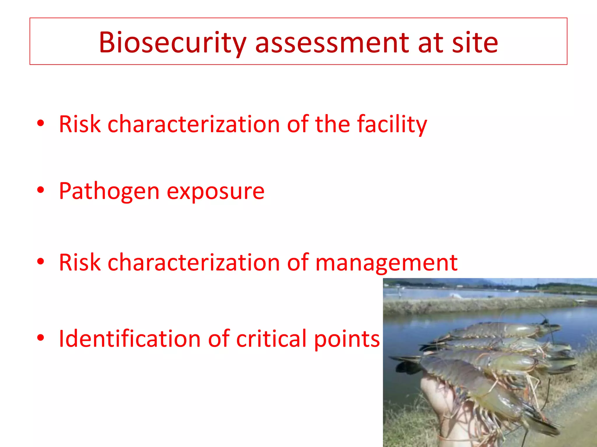 Biosecurity measures in shrimp farming | PPTX