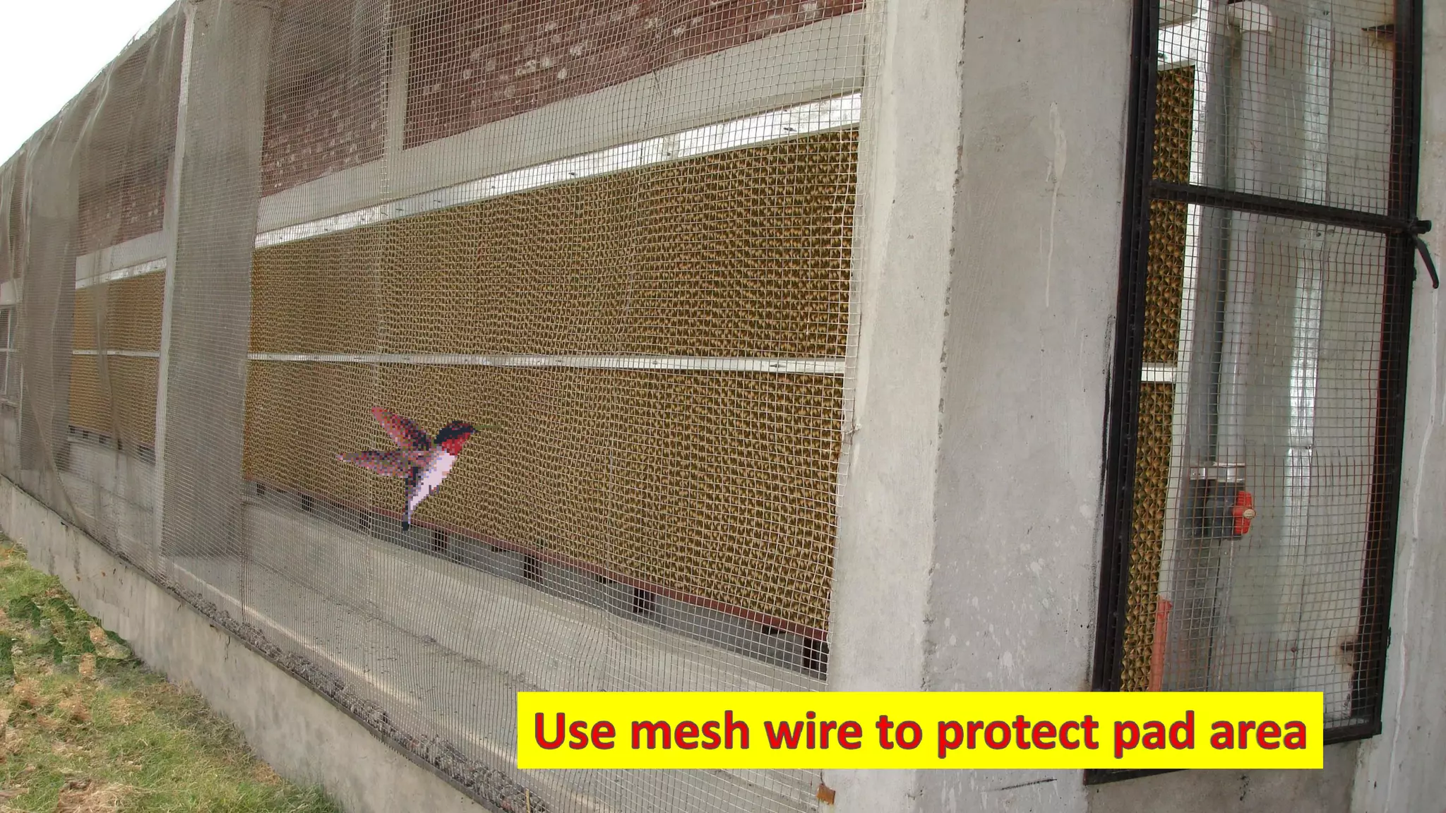 Biosecurity part-3.pdf by ash rana | PDF