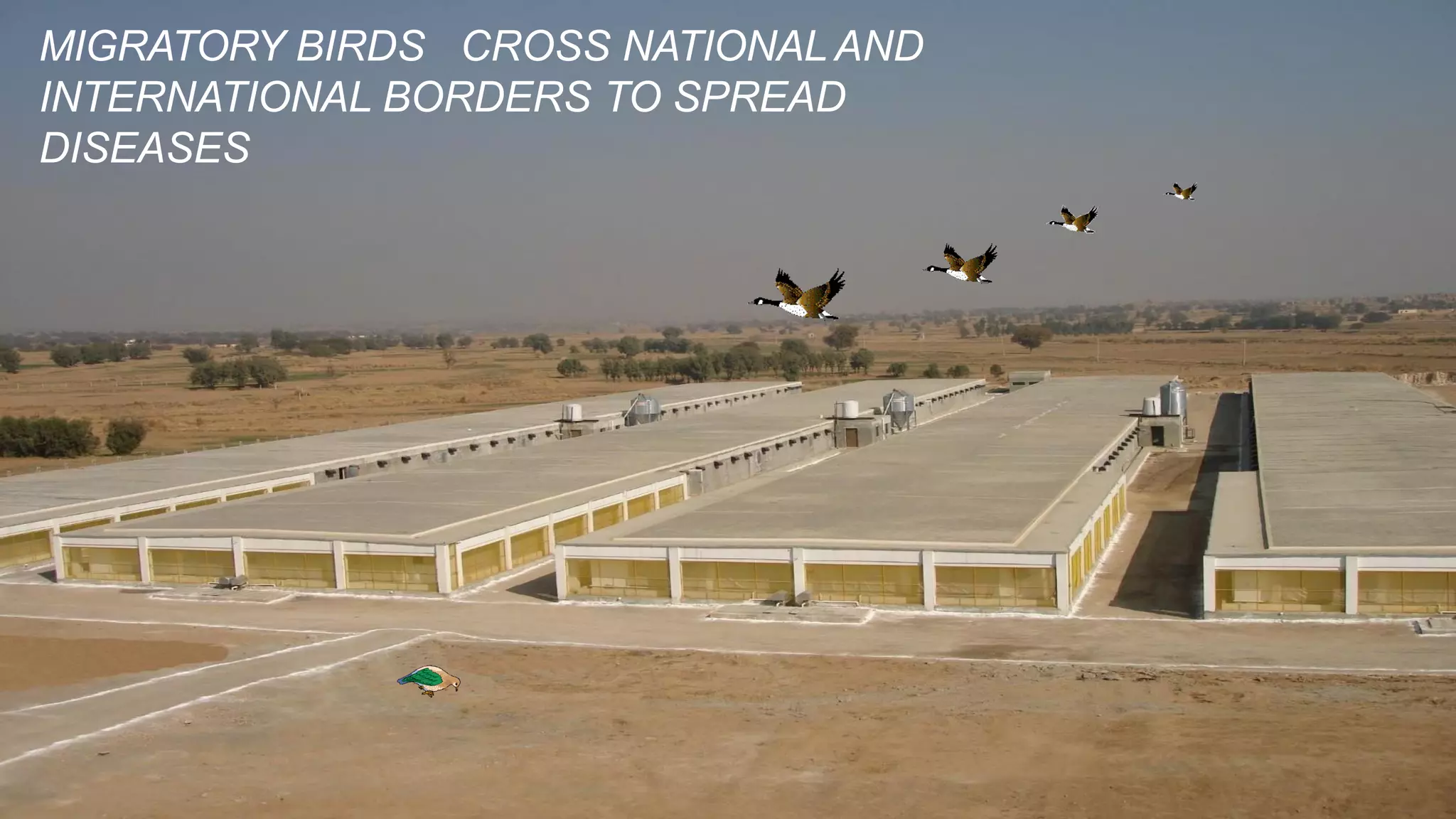 Biosecurity part-3.pdf by ash rana | PDF