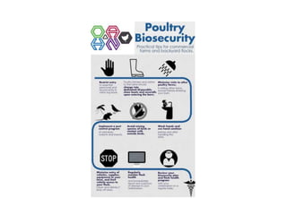 BIOSECURITY ppt.pptx