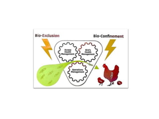 BIOSECURITY ppt.pptx