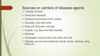 Biosecurity presentation | PPTX | Infectious Diseases | Diseases and ...