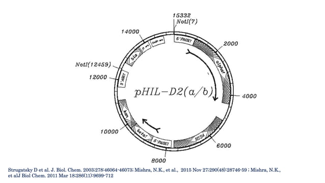 Biosefty Committee.pptx