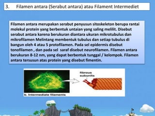 Biologi sel slide show | PPTX