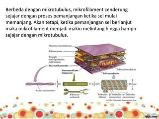Biologi sel slide show | PPTX