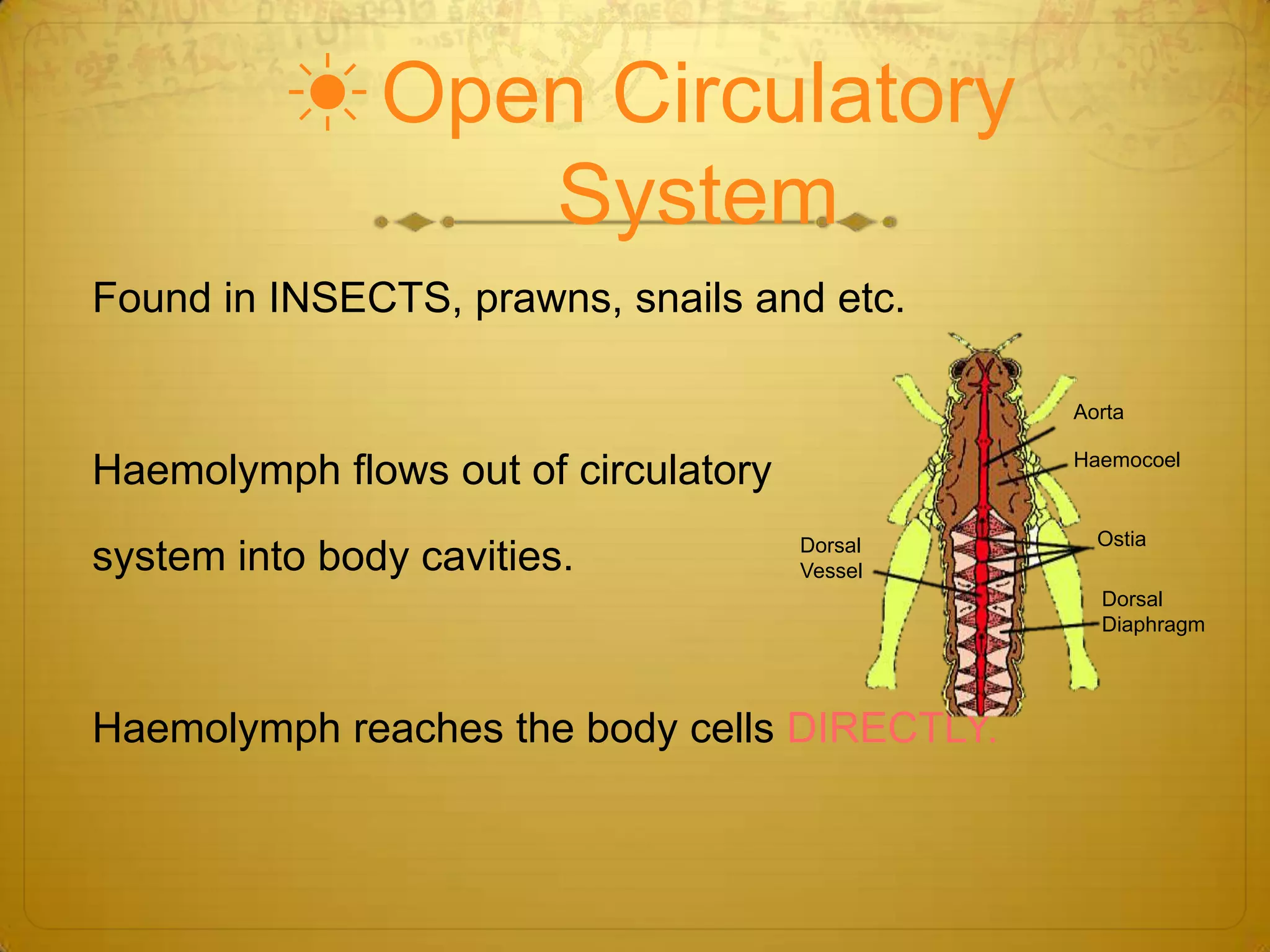 Bio seminar 2012 (with answers) | PPTX