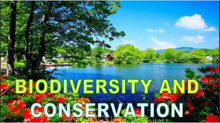 Biology Seminar Biodiversity and conservation.pptx