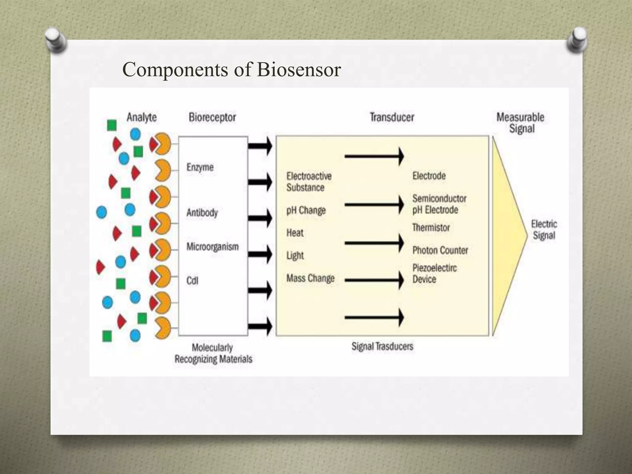 Bio sensing technology for sustainable food safety | PPTX