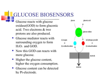 Biosensor | PPT