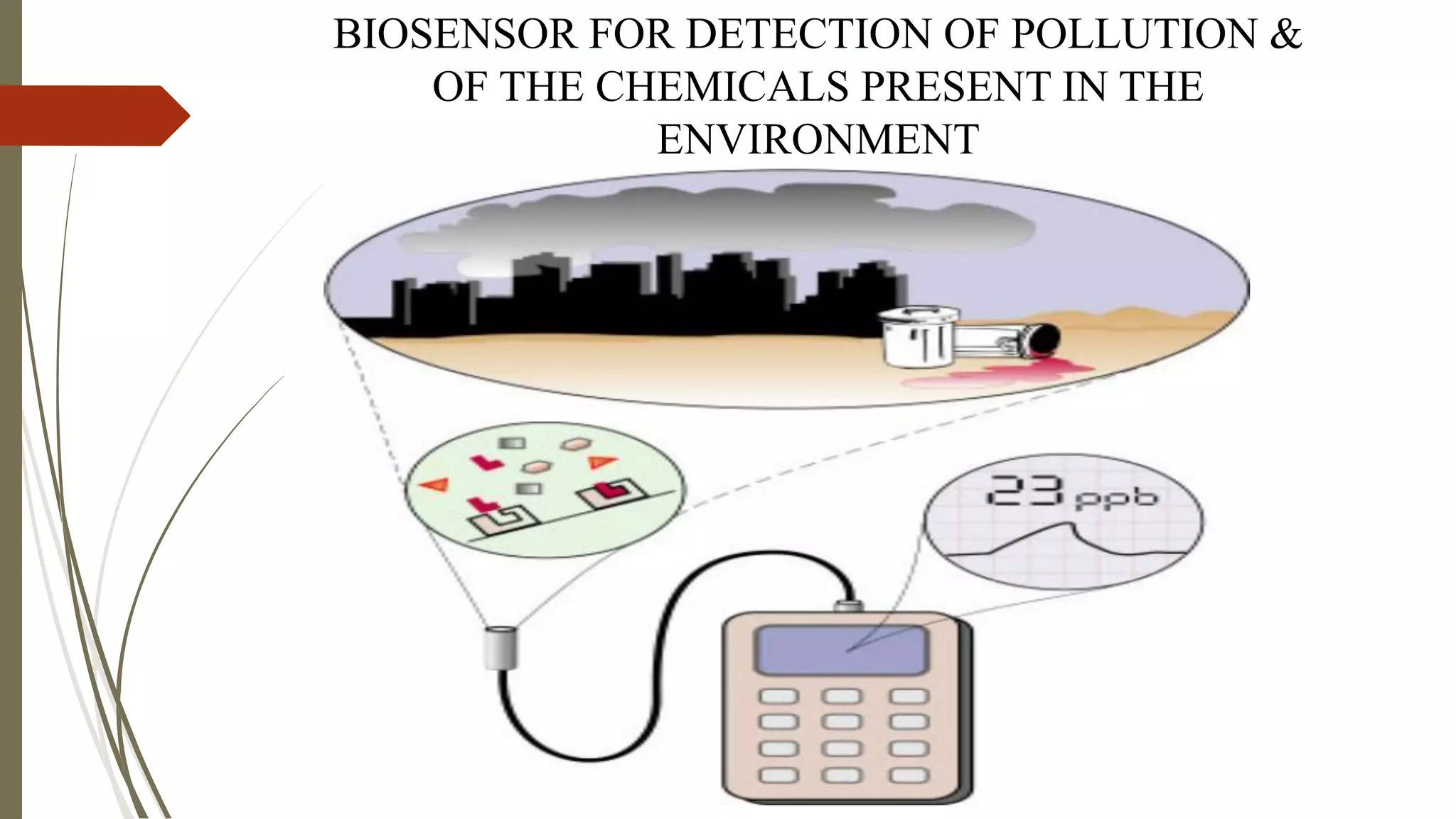 Biosensor ppt | PDF