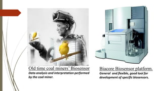 Biosensor ppt | PDF