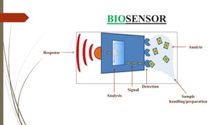 Biosensor ppt | PDF