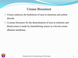 Biosensor | PPTX | Chemistry | Science