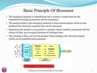 Biosensor | PPTX | Chemistry | Science