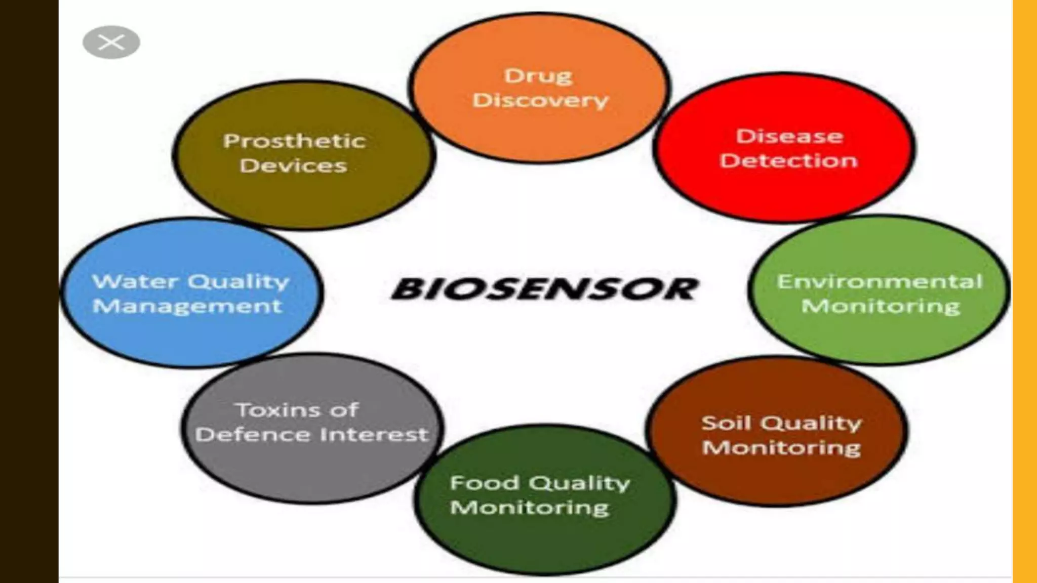 Biosensor | PPTX | Chemistry | Science