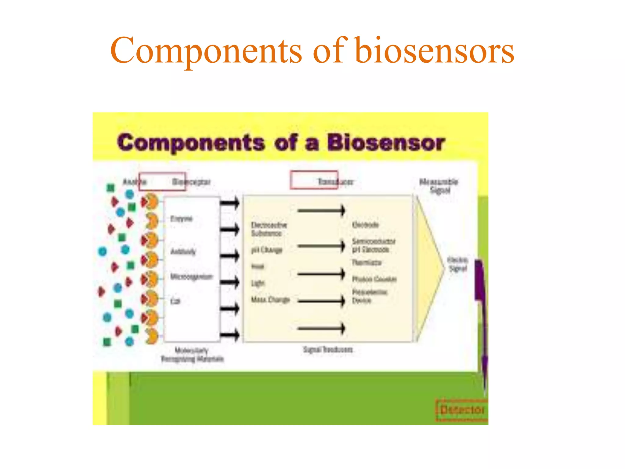 Biosensor , its components, working and types of biosensors | PPTX