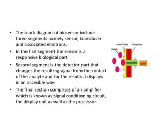 Biosensor , its components, working and types of biosensors | PPTX