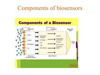 Biosensor , its components, working and types of biosensors | PPTX