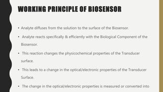 Biosensor | PPT