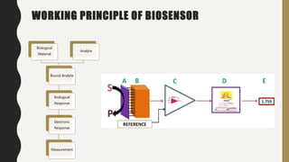 Biosensor | PPT