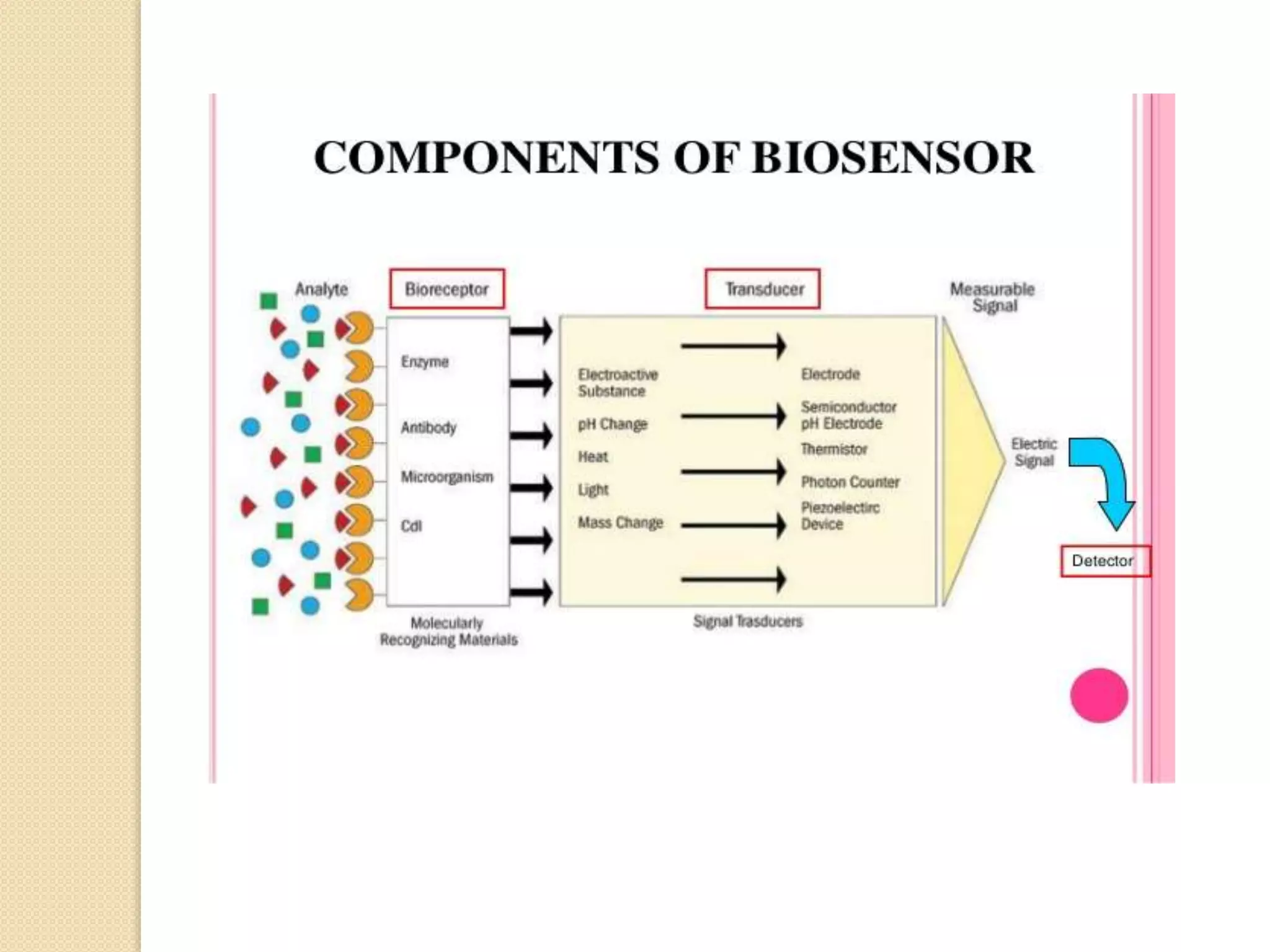 BIOSENSOR .pptx