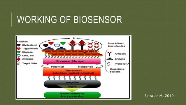 Biosensor for cholesterol detection | PPTX | Chemistry | Science