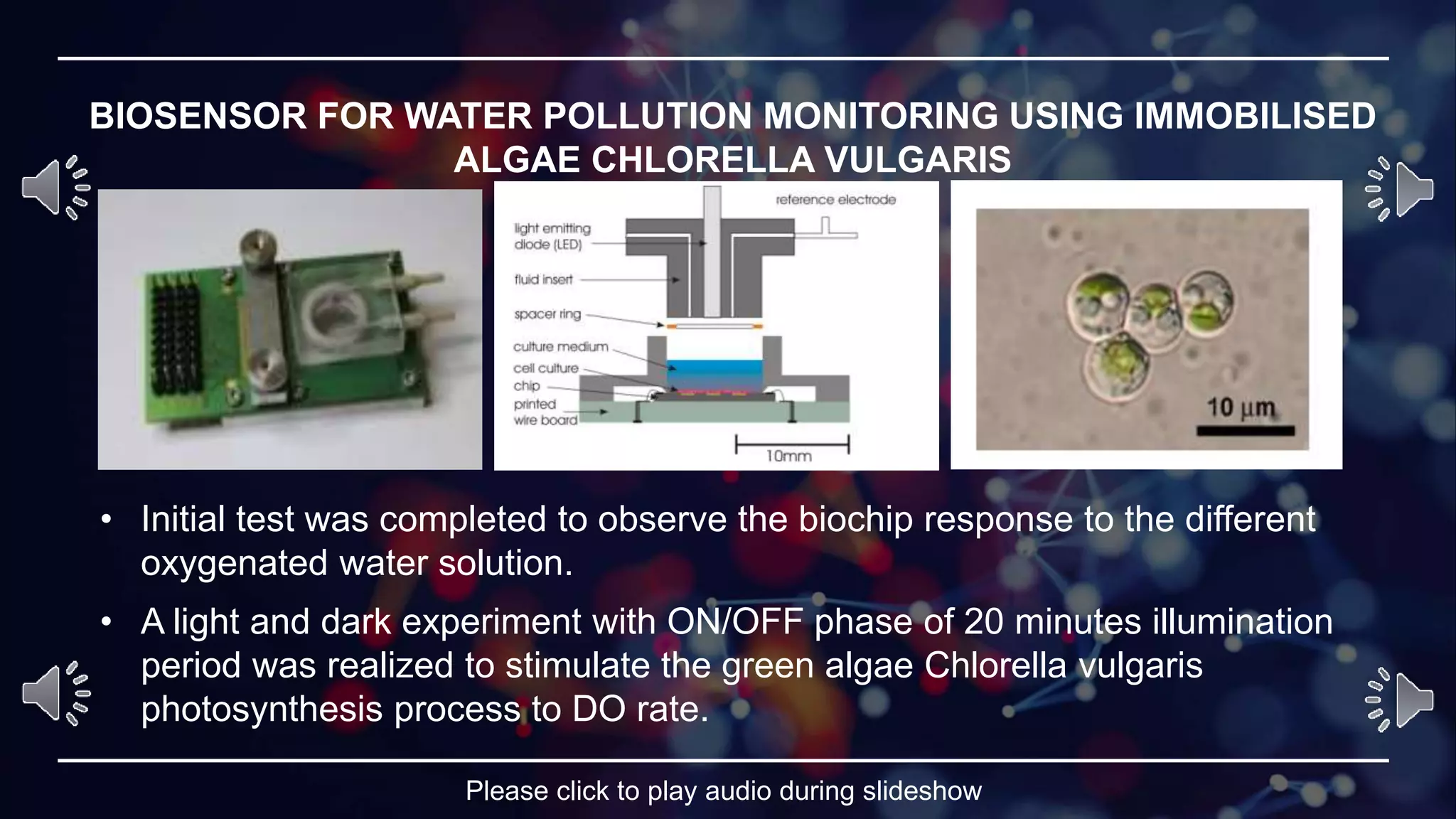 BIOSENSOR FOR WATER POLLUTION MONITORING USING IMMOBILISED ALGAE.pptx