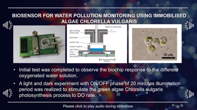 BIOSENSOR FOR WATER POLLUTION MONITORING USING IMMOBILISED ALGAE.pptx