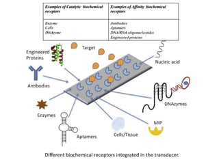 Biosensor, Ecolabeling and Traceability | PPTX