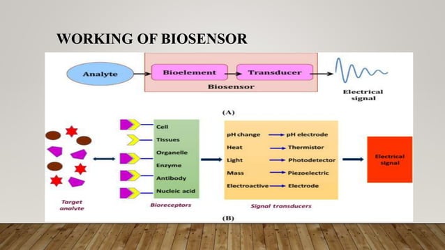 Biosensors.pptx | Agriculture | Industries