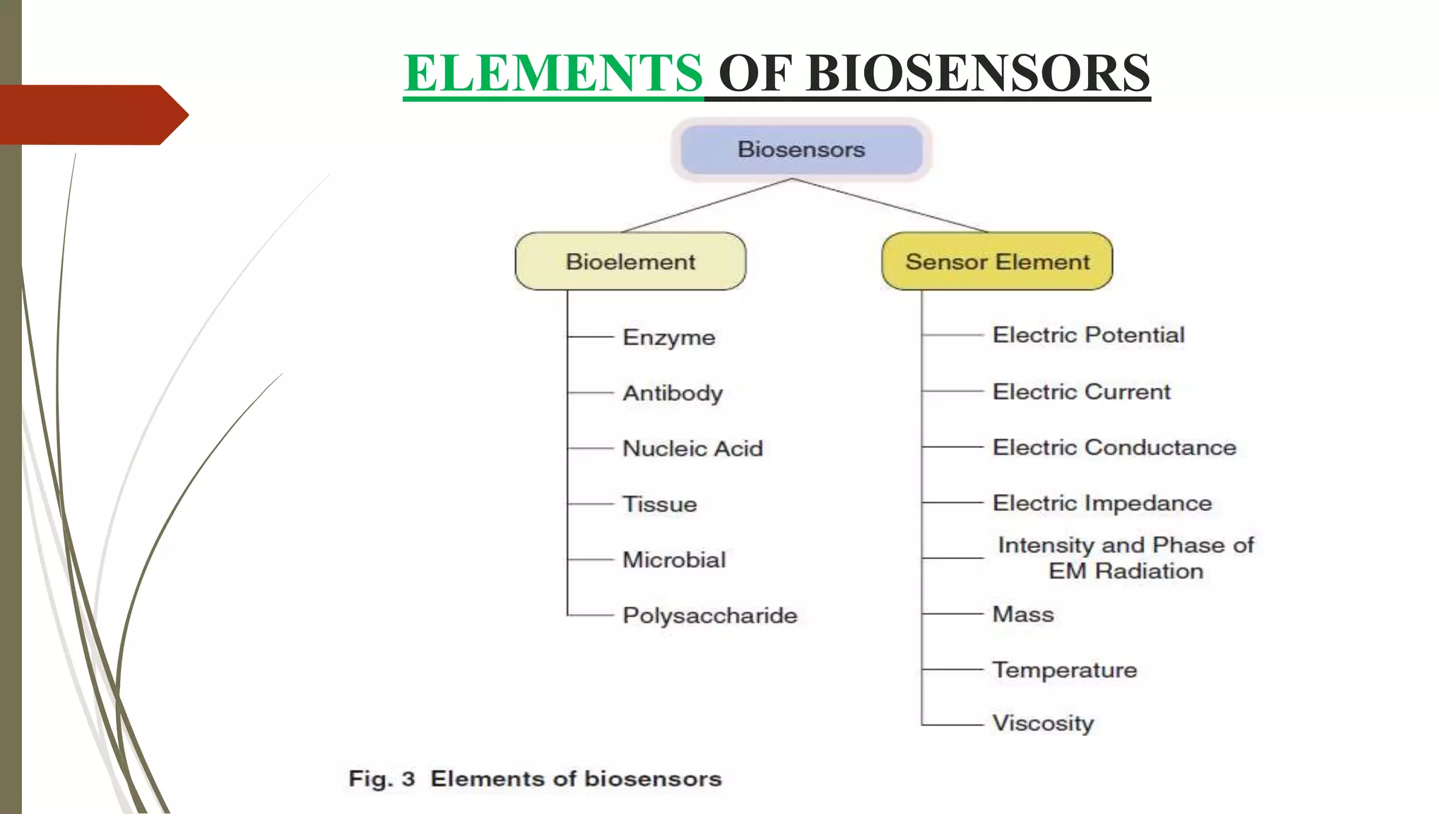 BioSensor ppt Yousuf Sher.pptx