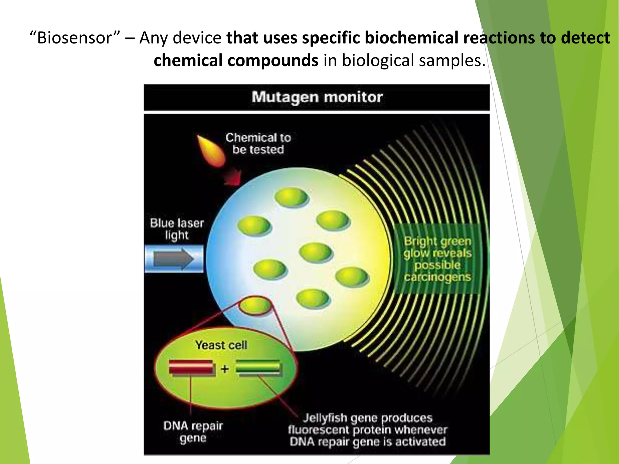 Biosensors: General Principles and Applications | PPT