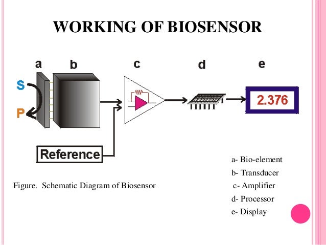 Biosensors