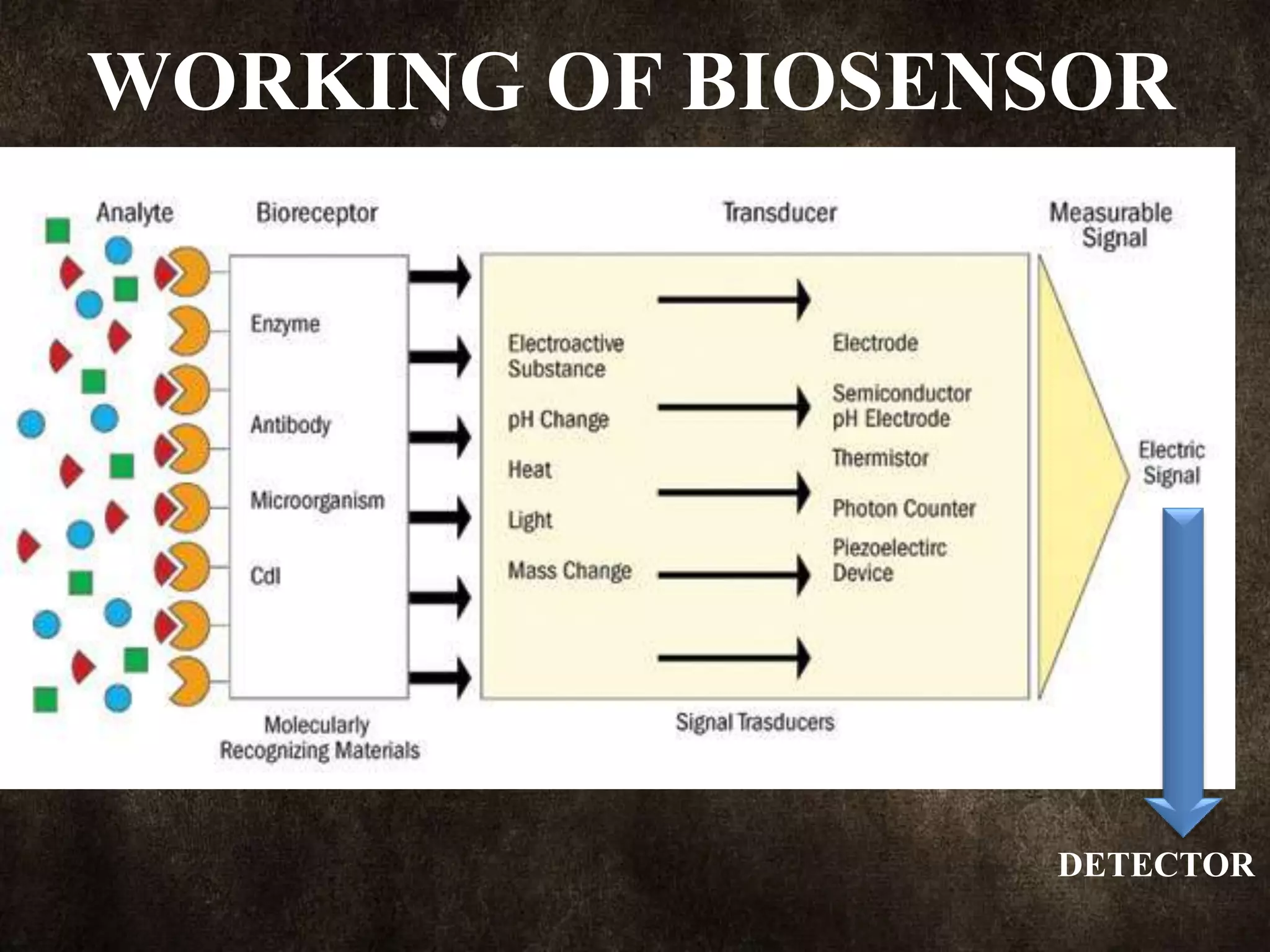 Austin Journal of Biosensors & Bioelectronics | PPTX