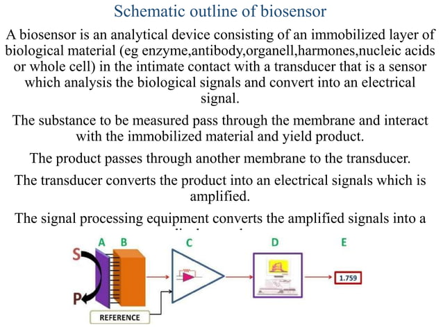Biosensors | PPTX | Chemistry | Science
