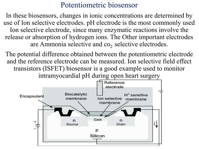 Biosensors | PPTX | Chemistry | Science