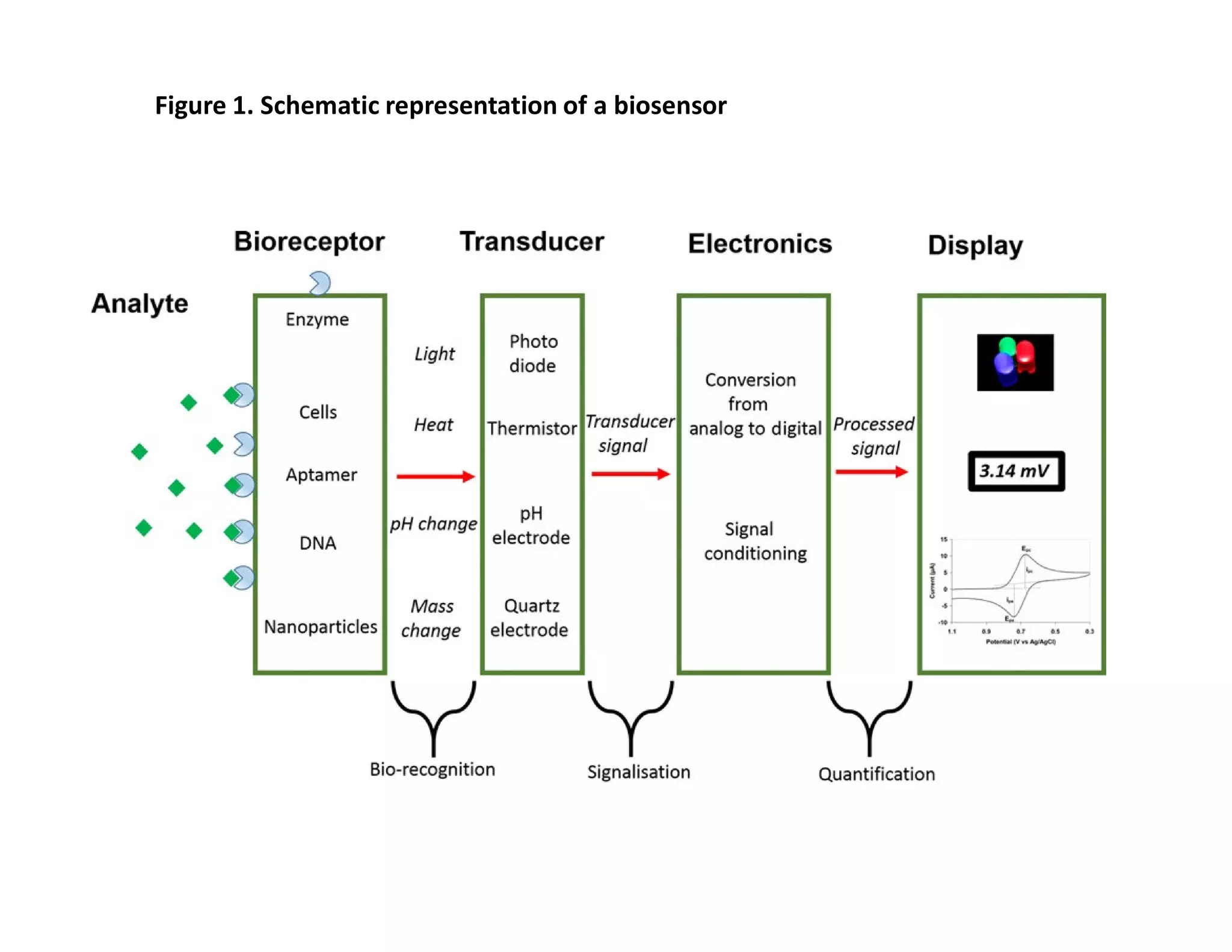 Biosensors | PDF