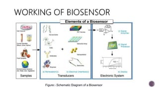 Biosensors | PPTX
