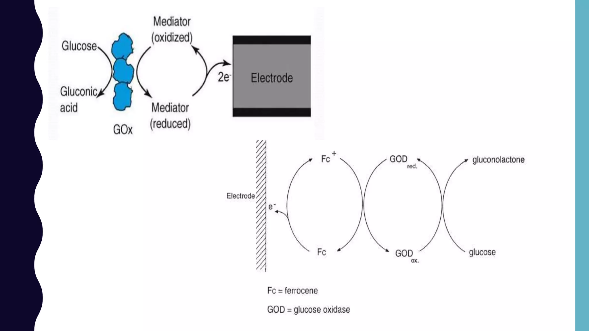 Glucose Biosensors | PPTX