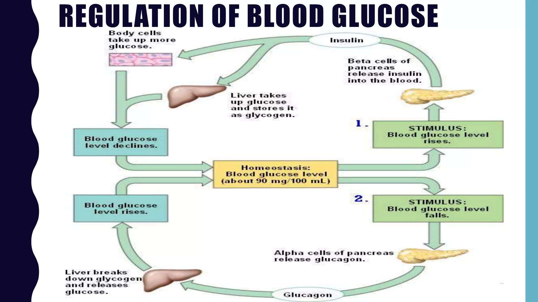 Glucose Biosensors | PPTX