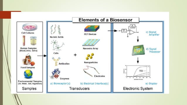 Biosensors | PPT